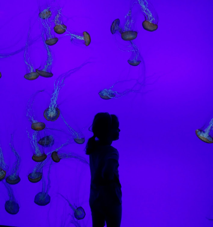 contemporary abstract photography painter artist surreal ripleys ...